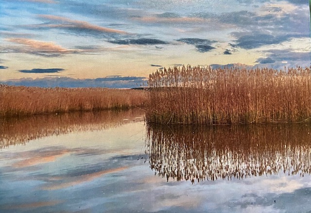 Piermont Public Library – 25 Flywheel Park West, Piermont, NY 10968-1040